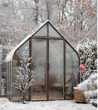 Summerseat - Your Winter Gardening Guide